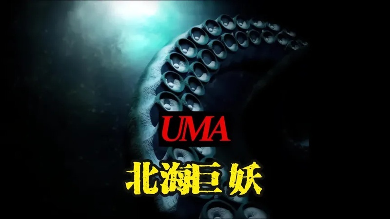 未确认生物体 北海巨妖