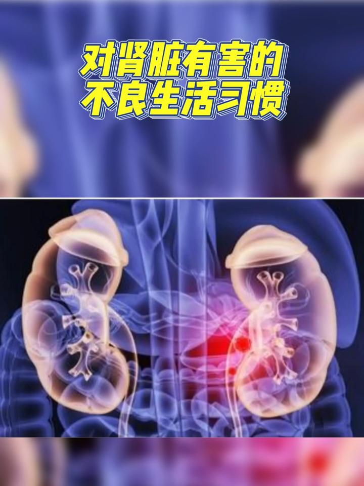 #健康养生 对肾脏有害的不良生活习惯#分享健康知识