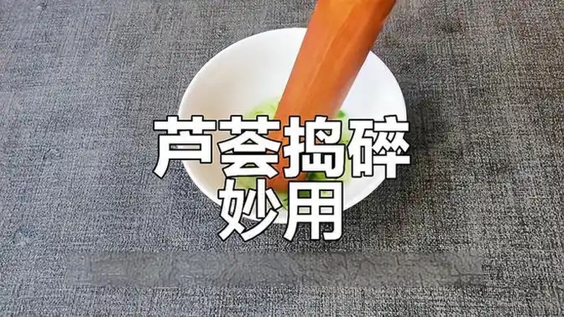 芦荟捣碎后的神奇作用,解决烫伤、瘙痒等烦恼