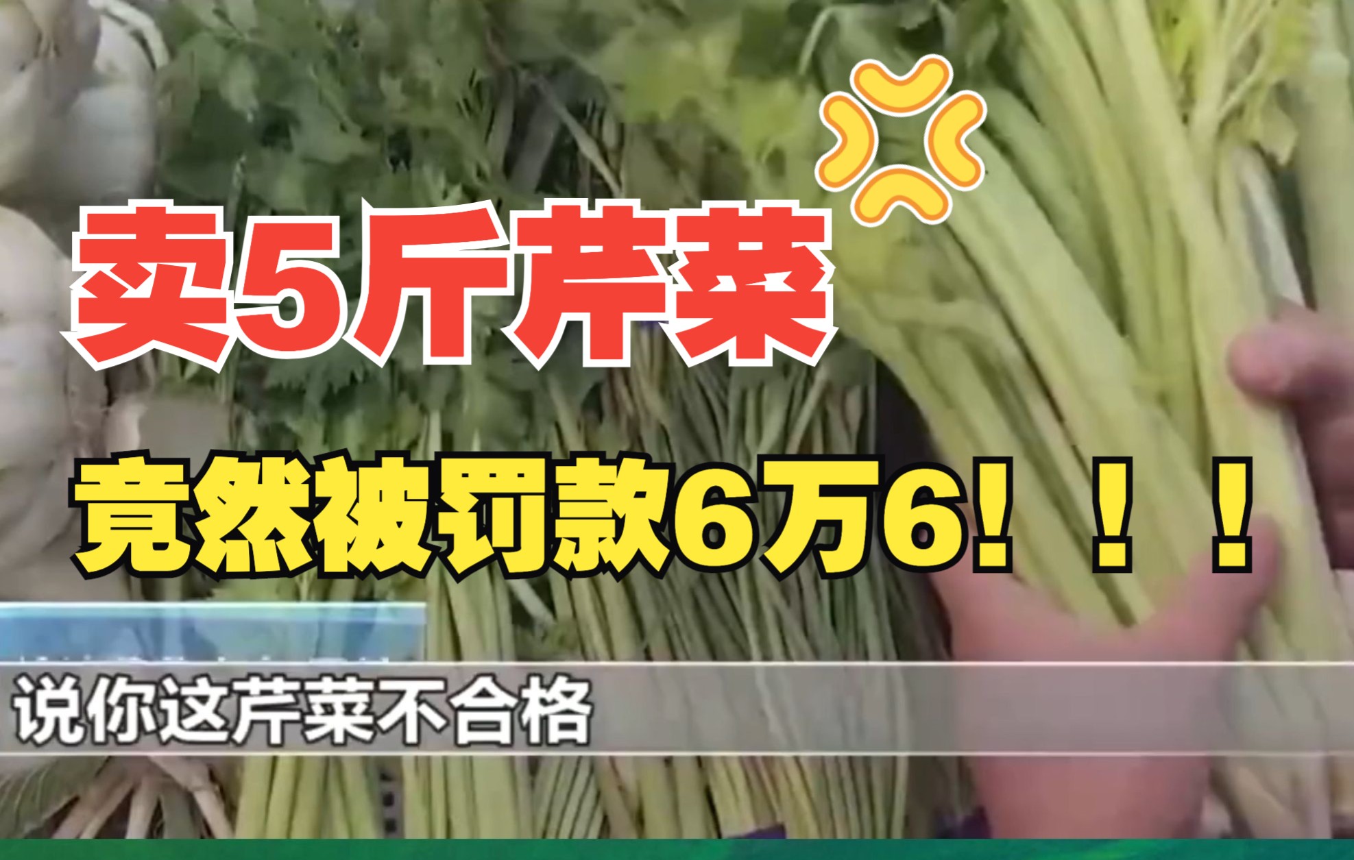 震惊!卖出5斤超标芹菜收入20元被罚6.6万元!陕西要求整改行政处罚过...