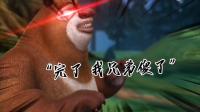 熊出没:完了,熊二傻了
