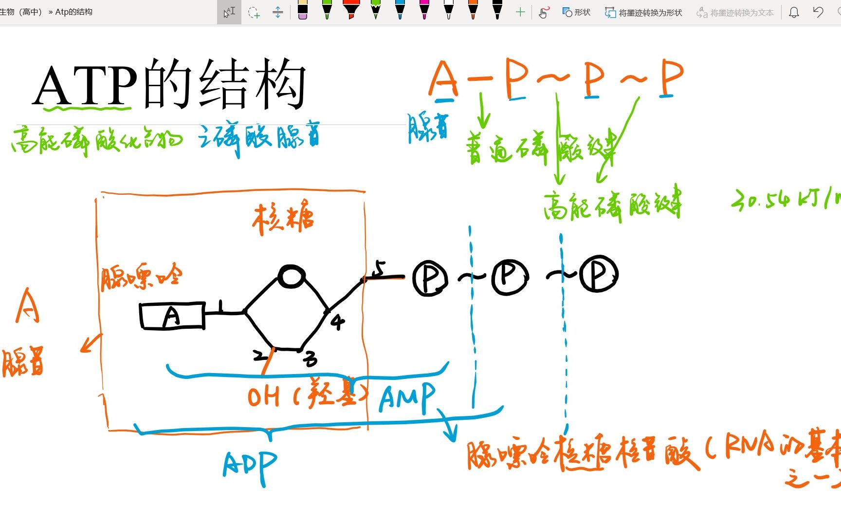 【高中生物】必修一|ATP的结构