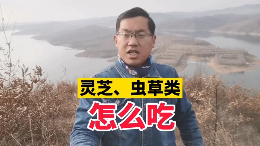 灵芝、虫草类,怎么吃