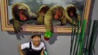 [拍客]最好玩的动物3D立体画,独家体验!
