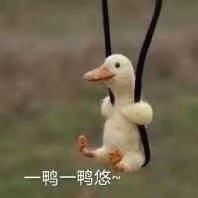 哼唧白L 