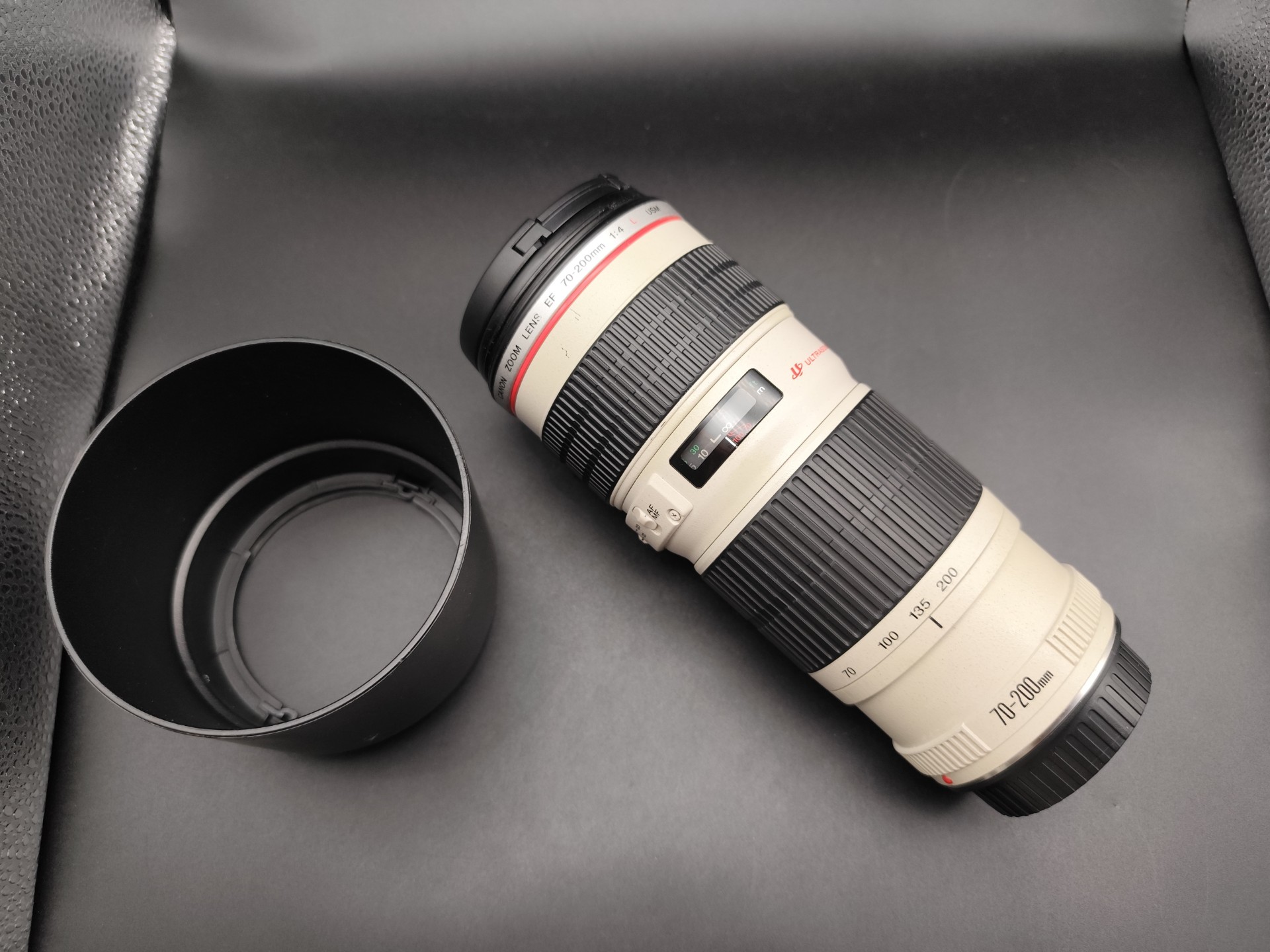 佳能小小白,佳能EF70-200F4一代不防抖镜头,鱼同名