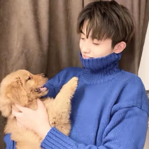 一只嘀嘀咕咕の猪 