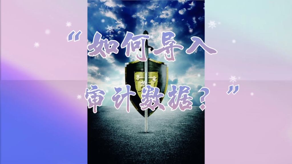 “如何导入审计数据?”