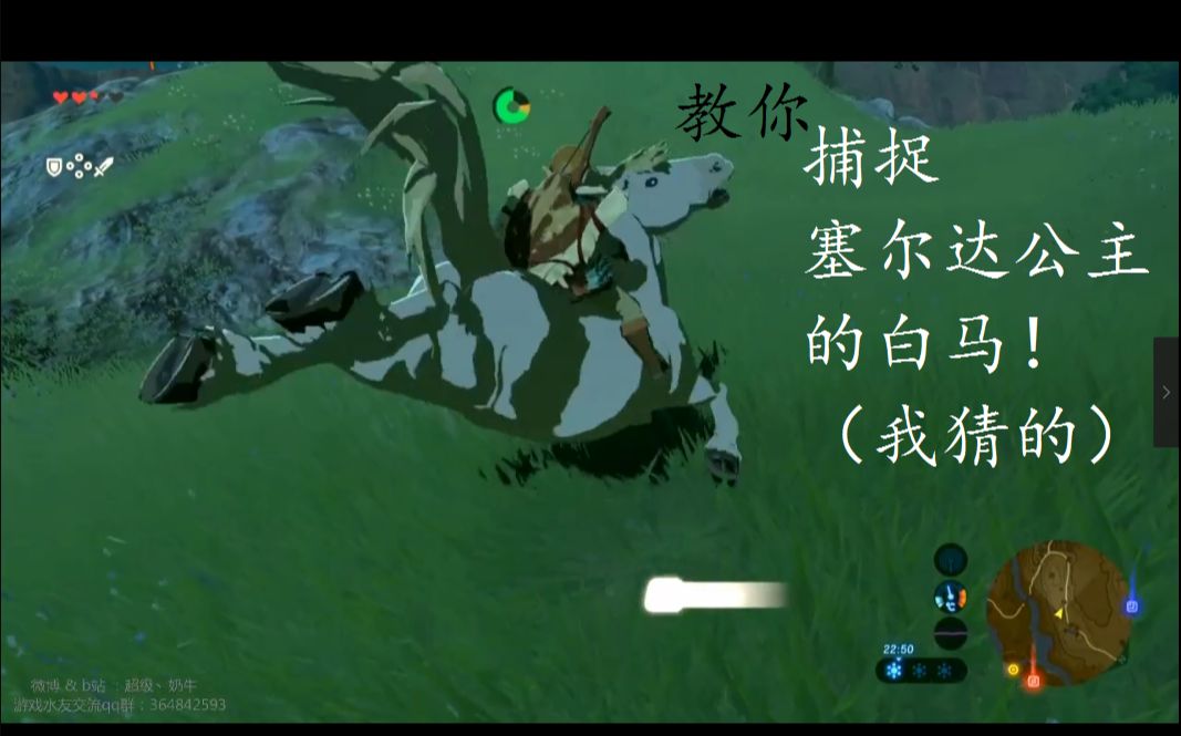 塞尔达公主的白马!——新手专用白马捕捉攻略
