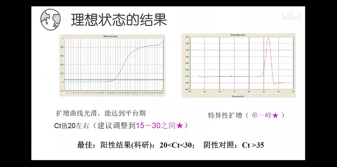 荧光定量PCR结果有问题怎么分析?