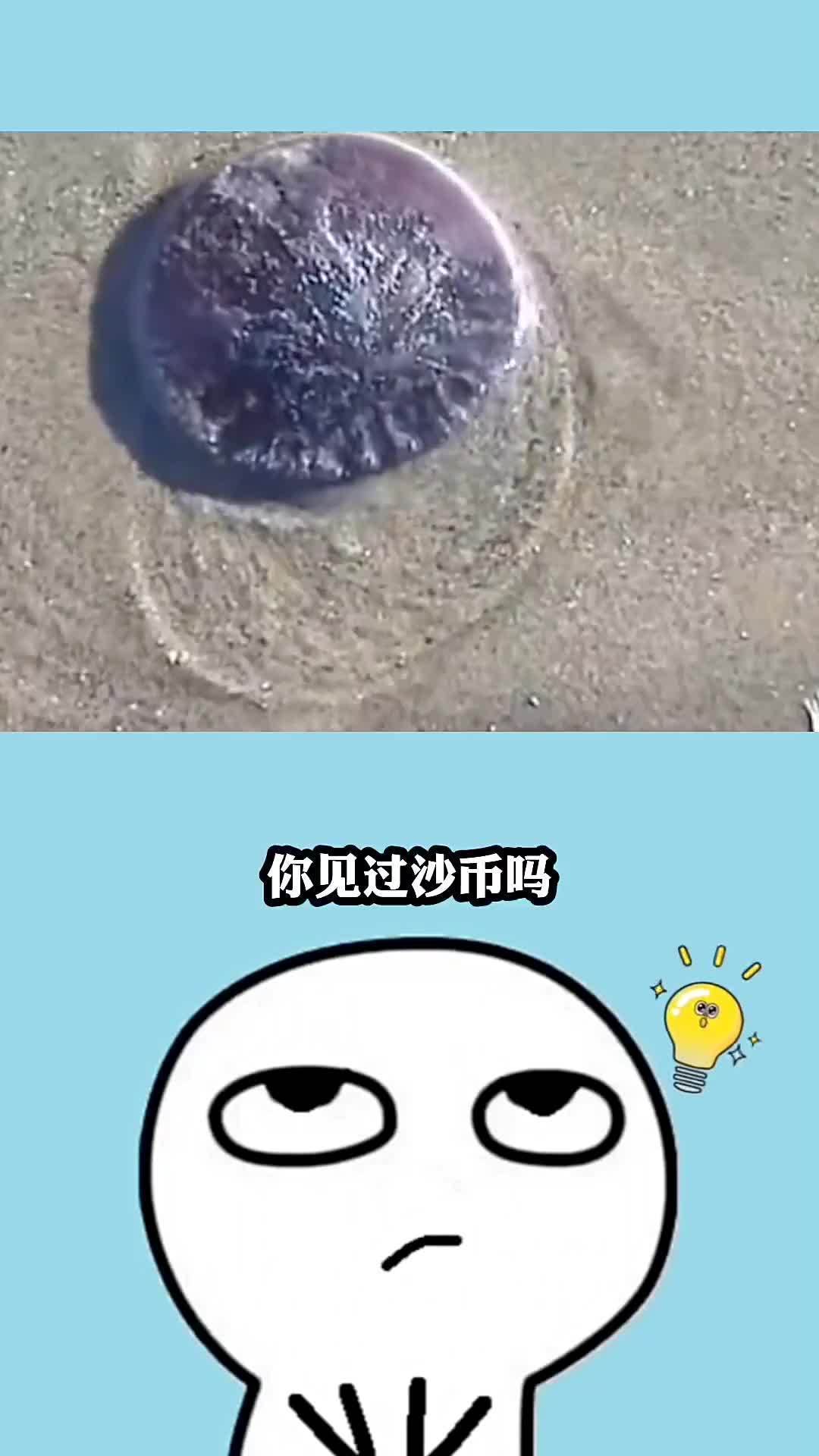 这回你见过了吧 #知识科普