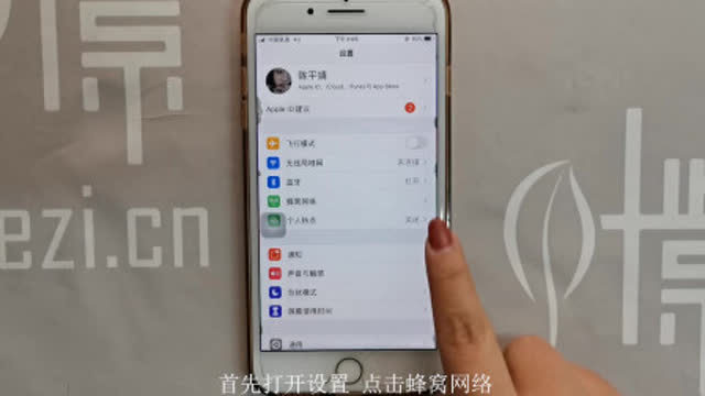 iPhone怎么设置限制流量使用?