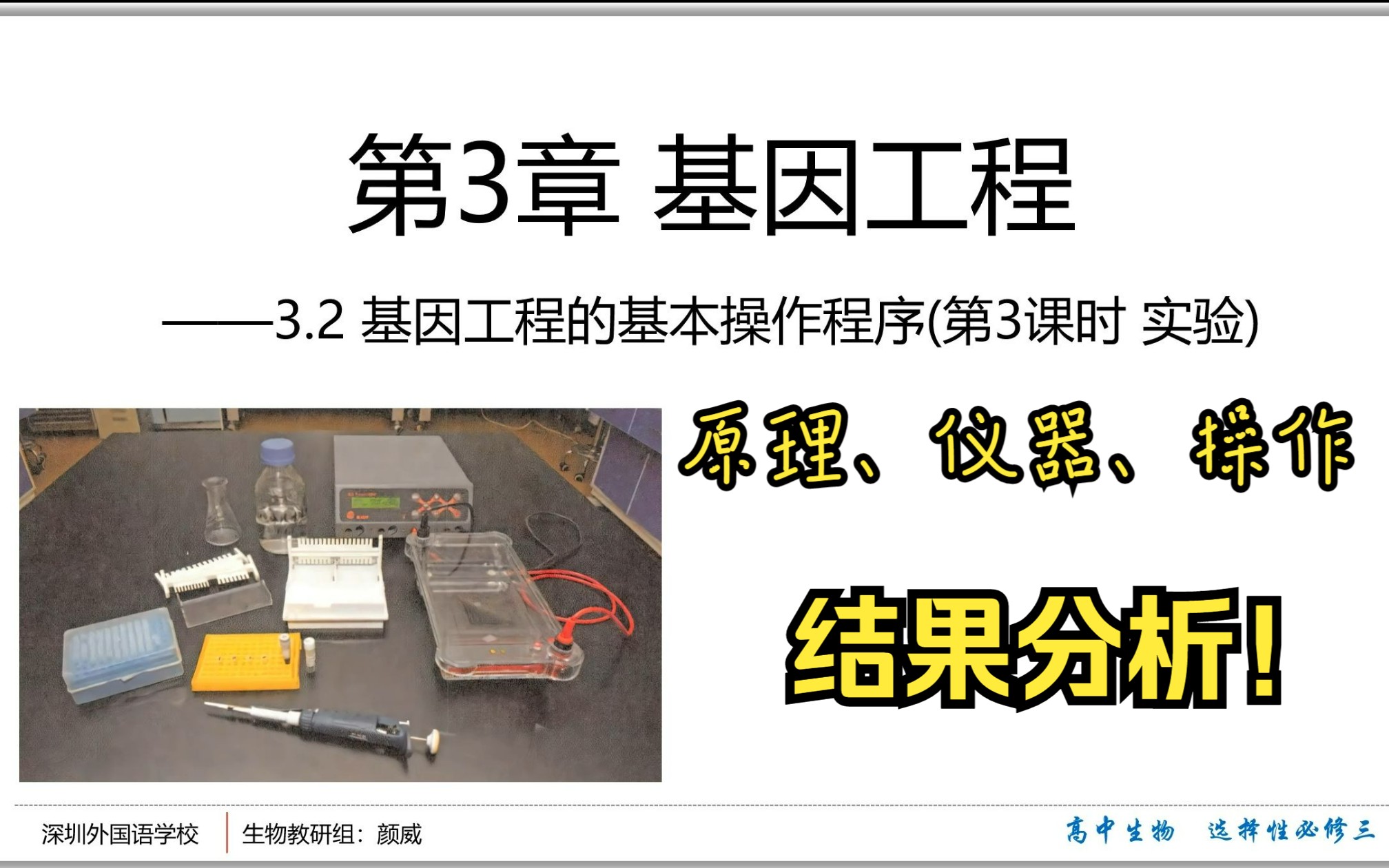 【高中生物选择性必修三】3.2.3实验 :DNA的PCR扩增和电泳鉴定(...