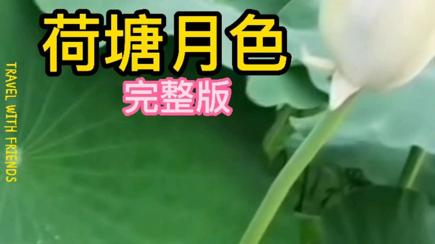 《荷塘月色》完整版