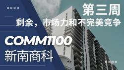 【￥26,000 一门的UNSW商科我免费教你】第三周 剩余,市场力和不...