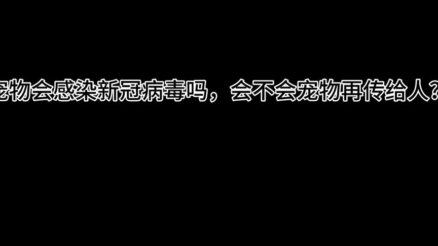 宠物会感染新冠病毒吗,会不会再传播给人?