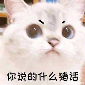 下辈子只当猪 