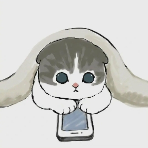 aC同学 