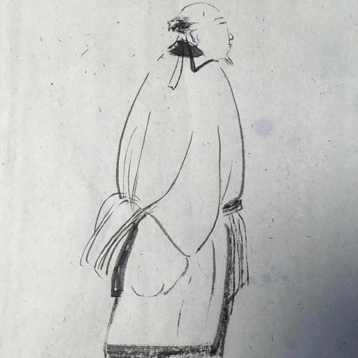 飞翔吧野鹤 