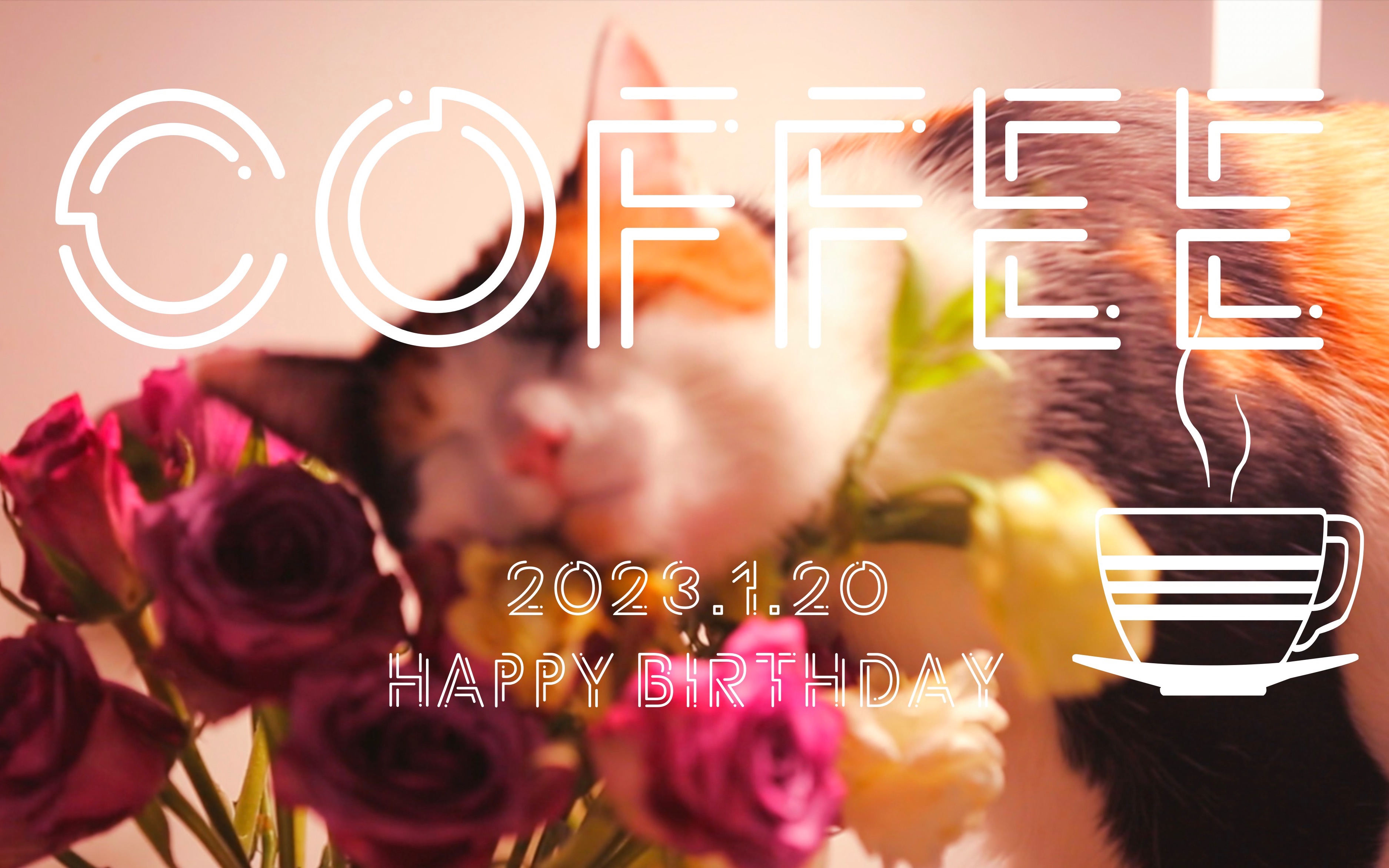 17岁,咖啡,猫猫(是生日礼物的开箱啦～)