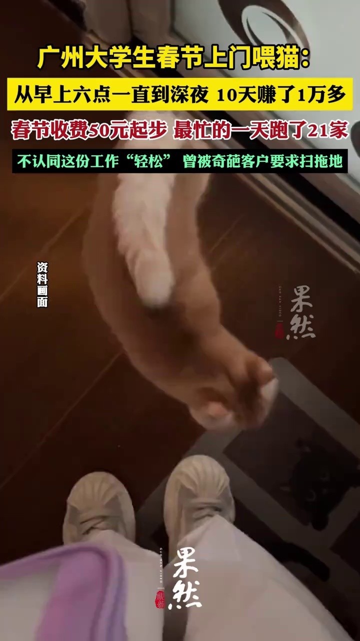 广州大学生春节上门喂猫:10天赚了1万多