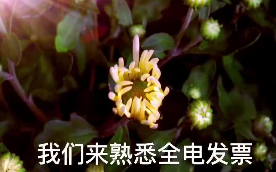 ...什么是“全电发票”#会计#会计学习#全电发票#全面数字化电子发票...