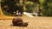 路畅科技360度全景泊车系统_360度全景行车记录仪