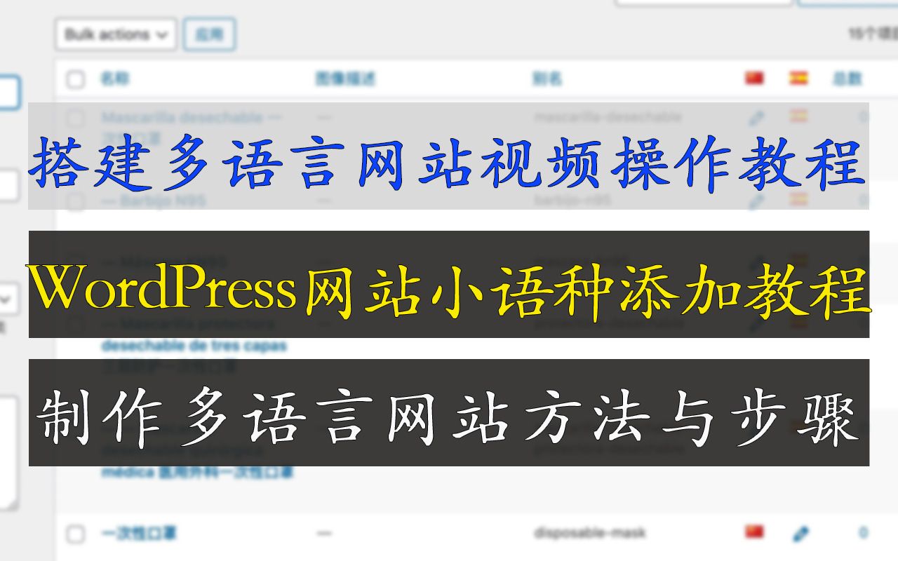 网站添加多语言教程-02 | WordPress多语言网站制作教程 | 如何为网站...