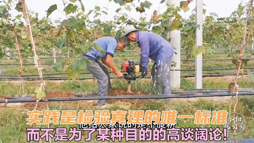 实践是检验真理的唯一标准,而不是为了某种目的的高谈阔论!