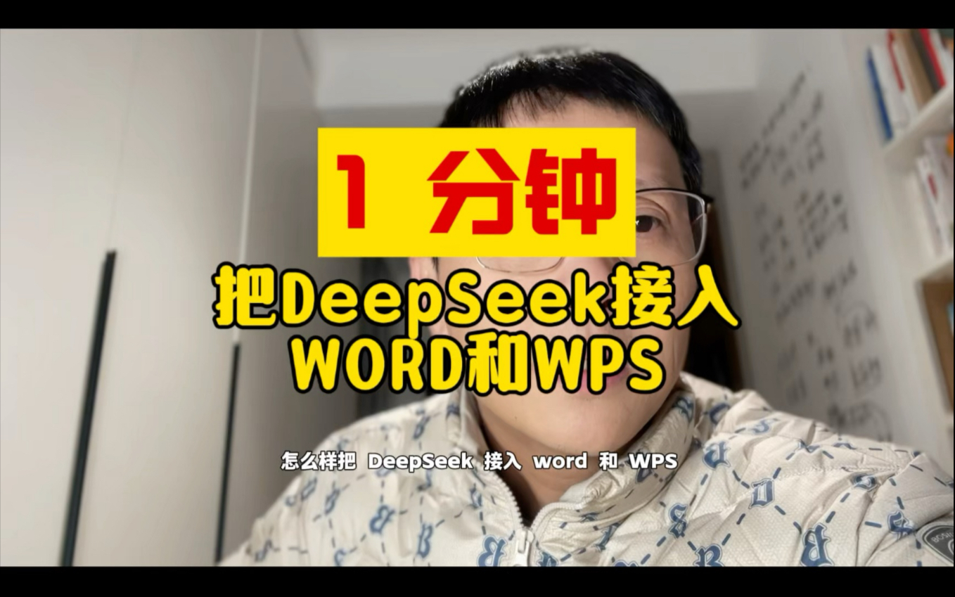 0 编程基础,1 分钟将DeepSeek 的 AI工具轻松接入word、WPS、Excel ...