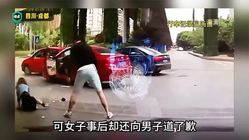 男子当街殴打女司机打了整整十几分钟,网友却拍手叫好
