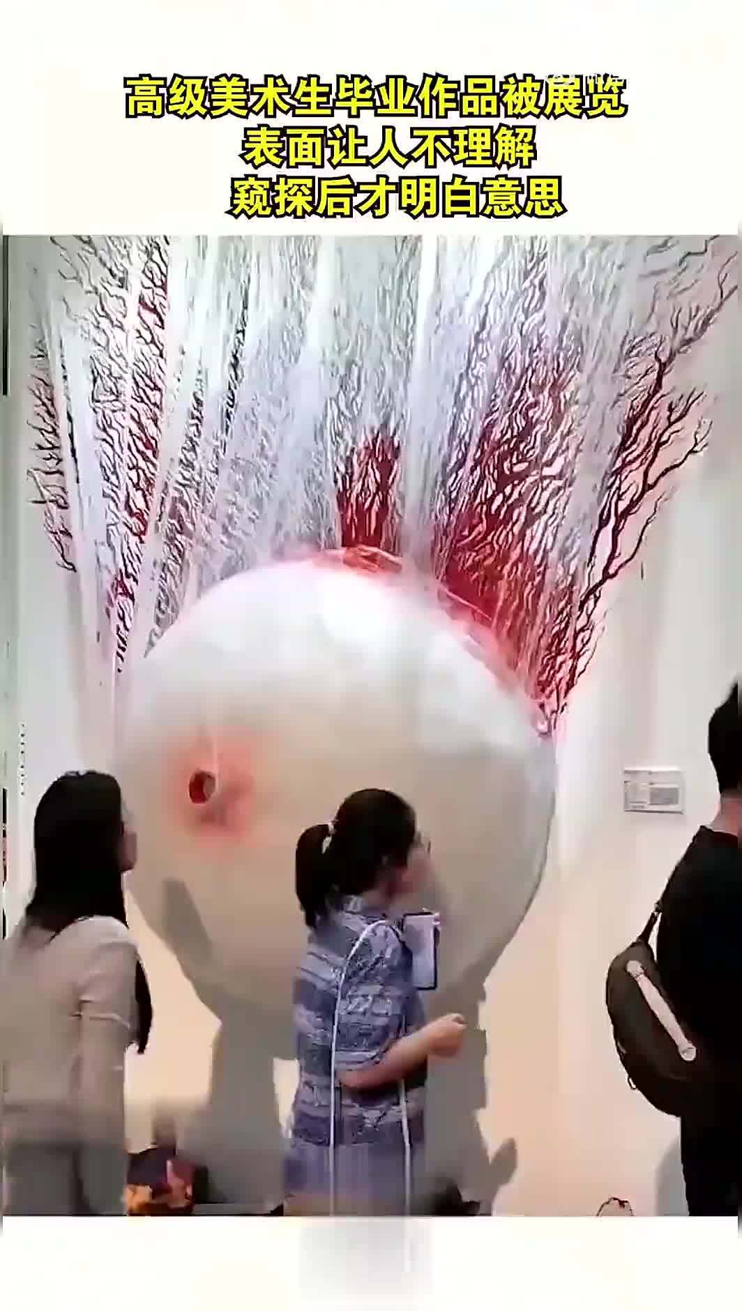 高级美术生毕业作品被展览,表面让人不理解,窥探后才明白意思