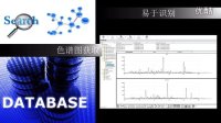 超快速气相色谱电子鼻