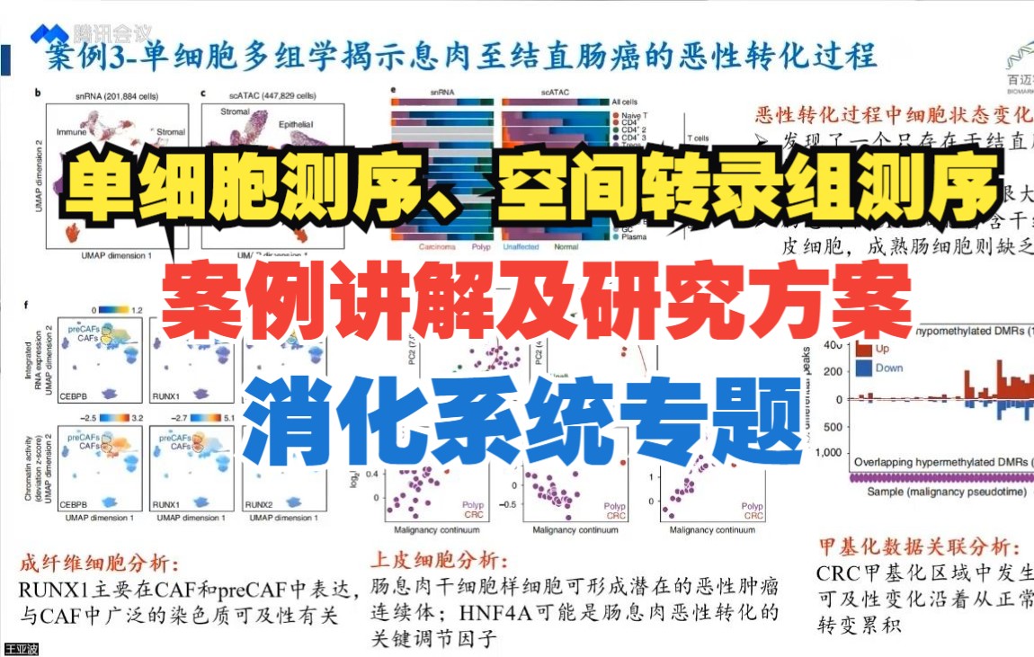 ...、空间转录组测序案例讲解及研究方案—消化系统专题【百迈客生物】