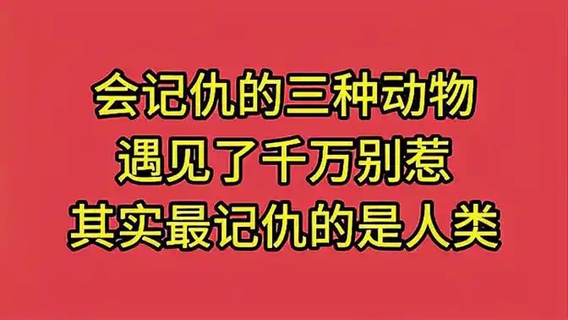 会记仇的三种动物,遇见了千万别惹,其实最记仇的是人类