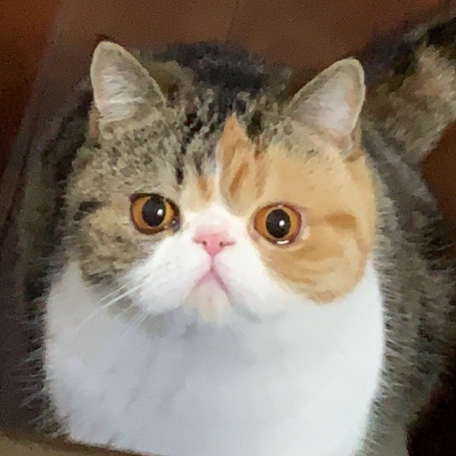 jlittlemore 