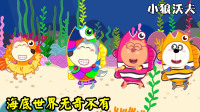 儿童动画: 小家伙们变成了海洋生物,海底世界真是无奇不有!