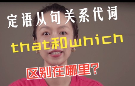 定语从句关系代词that和which区别