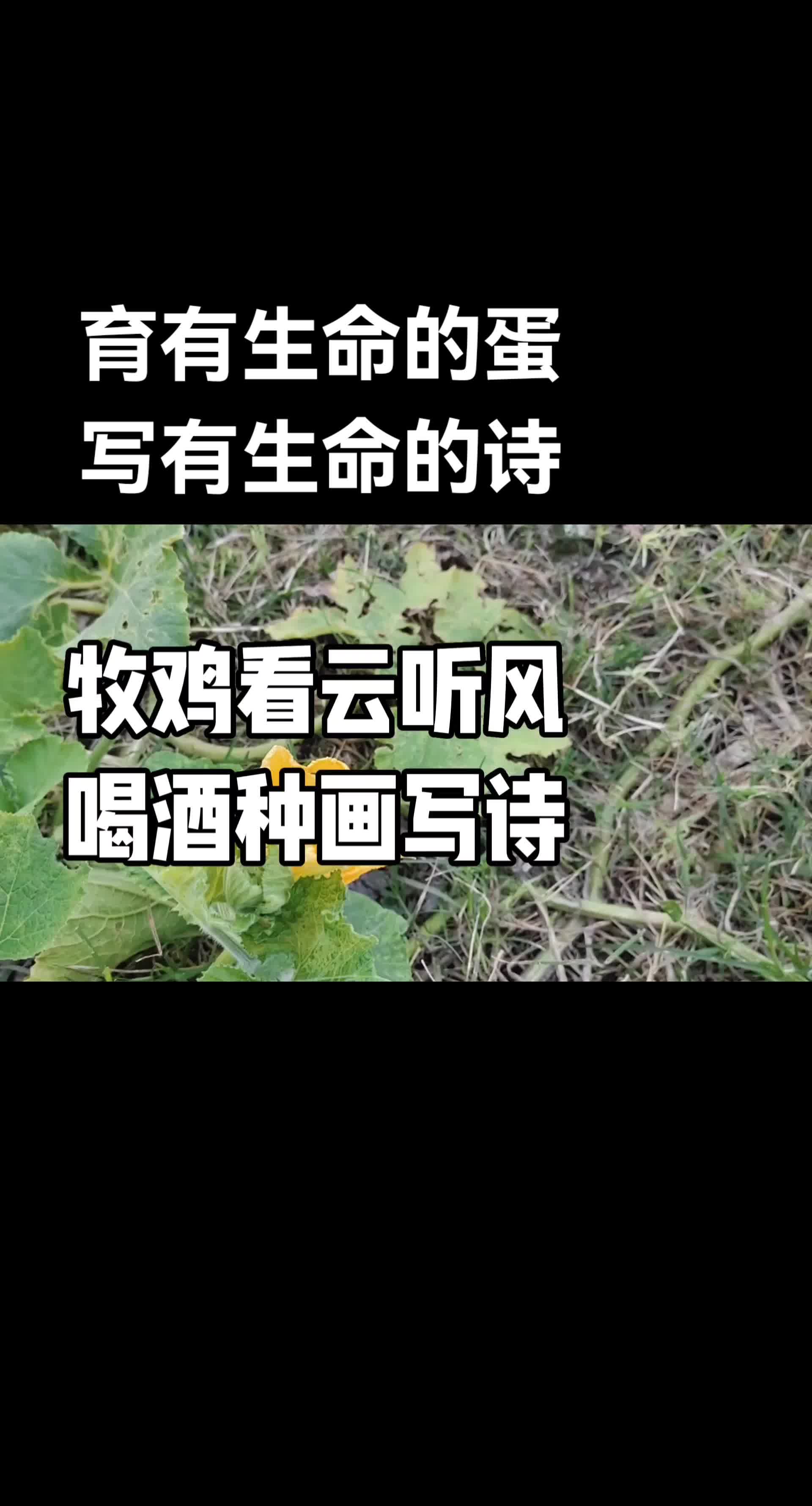 ...研发基地(无抗生素/无重金属/富含硒元素/公母鸡合理搭配) #爱情鸡蛋