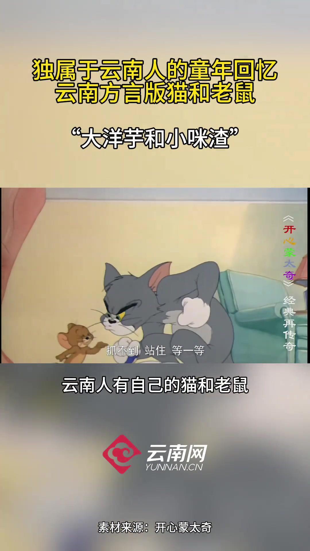 独属于云南人的童年回忆,云南方言版猫和老鼠。#云南方言#美好生活.