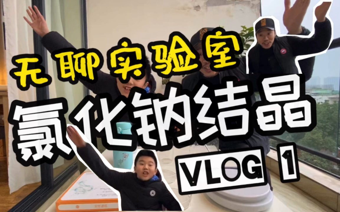 无聊实验室-氯化钠结晶 VLOG 1