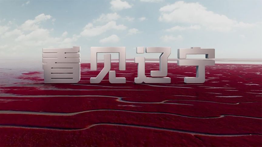 看见辽宁|(五)完善的基础设施