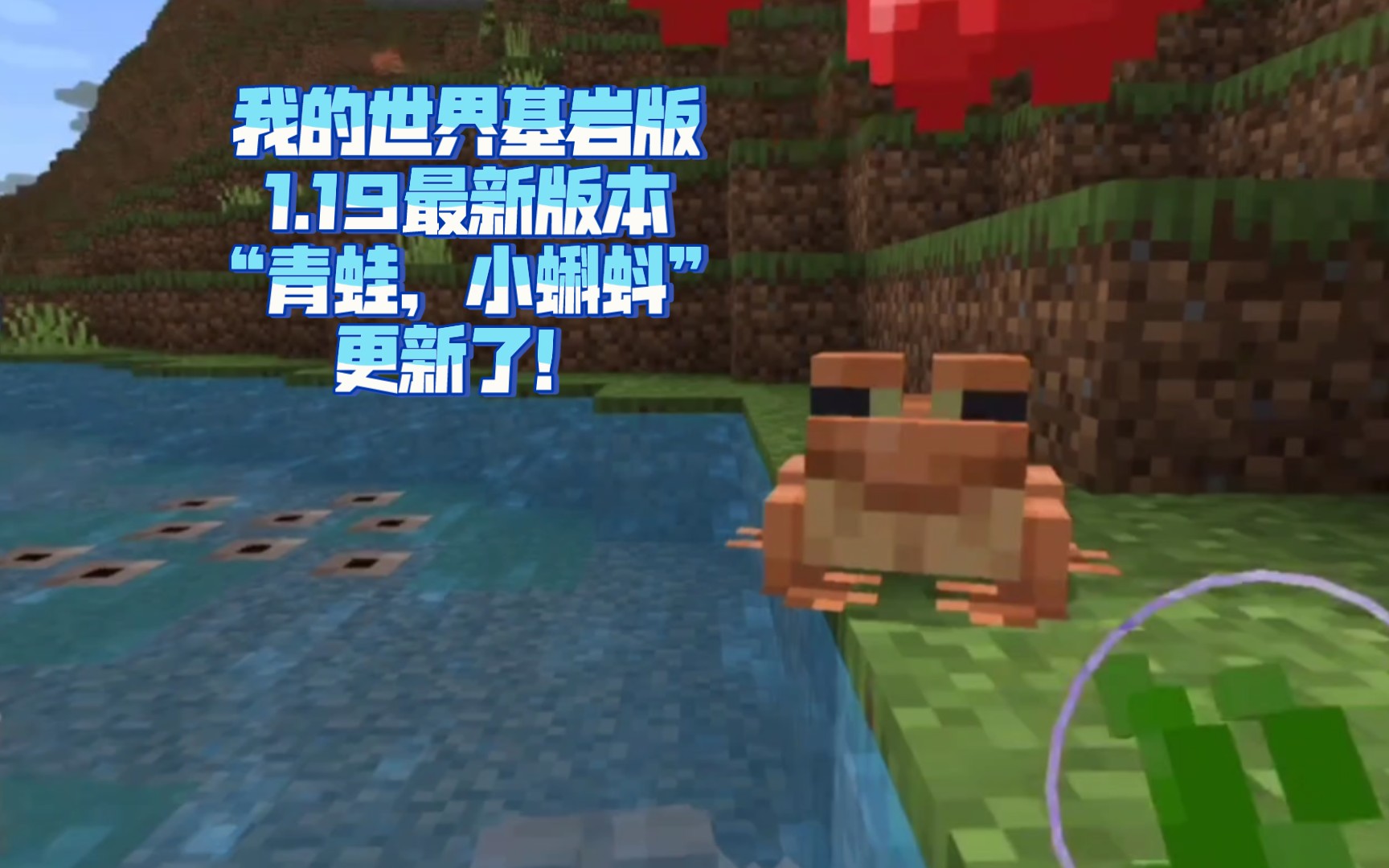 我的世界基岩版1.19最新版本“青蛙,小蝌蚪”更新了!_我的世界