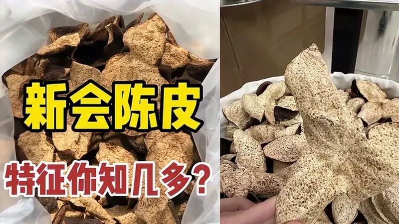正宗新会陈皮有什么特征?