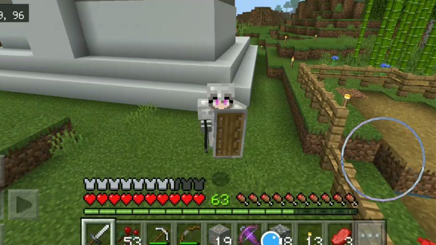 Mc原生存第二期