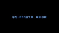 华为HRBP的工作方法与优秀实践 第11集 华为HRBP的工具:组织诊断