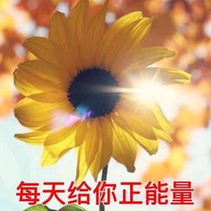优雅天空m