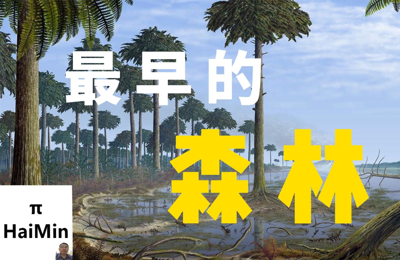 地球上最早的森林是什么样子?|最早的森林的新发现|裸蕨植物|泥盆纪|...