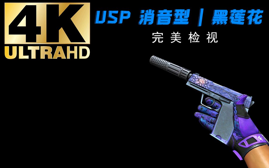 【CSGO】USP 消音型 | 黑莲花 游戏中全亮度检视_电子竞技热门视频