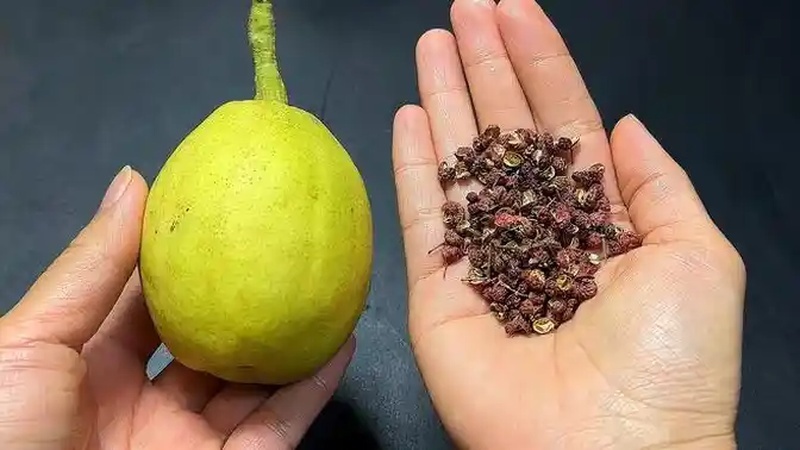 把梨和花椒放一起,没想到作用这么厉害,解决了男女朋友的大烦恼